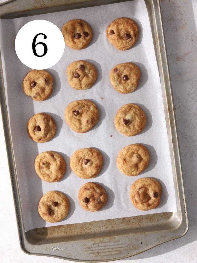 Snickerdoodle Chocolate Chip Cookies - Parsley and Icing